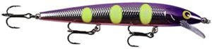 rapala husky jerk 10 voodoo haze