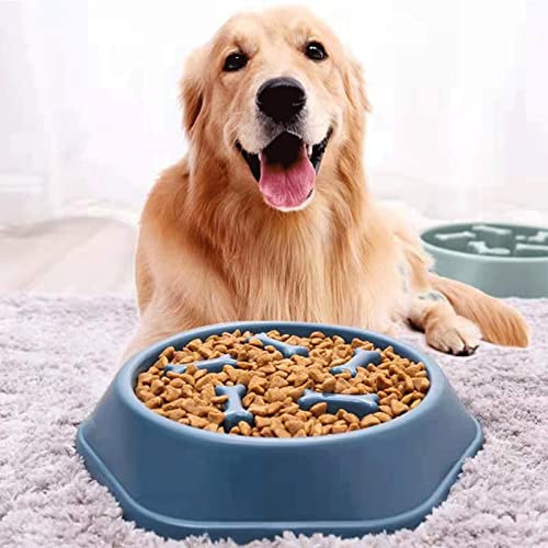 FUUIE Bowls for Food and Water Slow Feeder Dog Cat Bowl Dog Cat Food Bowl Durable Non Skid Pet Bowl Preventing Choking Healthy Design Cat Puppy Bowl (Color : Blue)