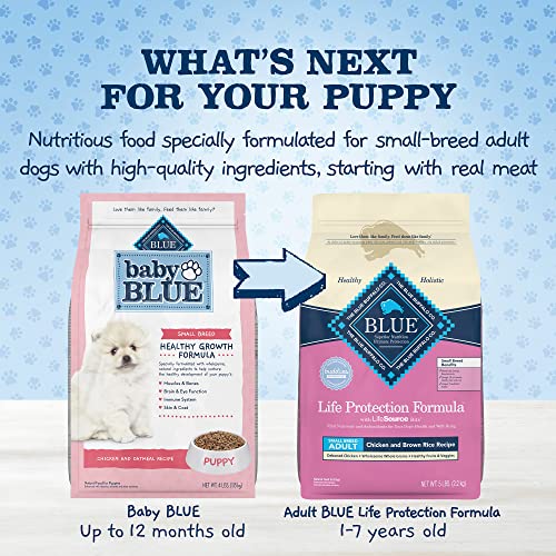 Blue Buffalo Baby BLUE Healthy Growth Formula Natural Small Breed Puppy Dry Dog Food, Chicken and Oatmeal Rice Recipe 4-lb