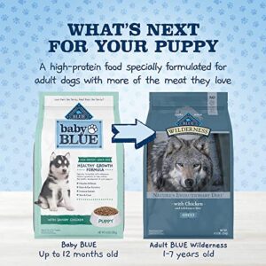 Blue Buffalo Baby Blue Healthy Growth Formula Grain Free High Protein, Natural Puppy Dry Dog Food, Chicken and Pea Recipe 4-lb