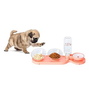 FUUIE Bowls for Food and Water Travel Water Bottle Pet Supplies Cat Double Feeding Bowl Kit with Water Dispenser Pet Dog Kitten Feeder Bowls (Color : Blue)