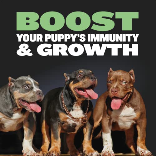 Bully Max Puppy Bundle Pack, High Protein & Growth Puppy Food, Immunity Soft Chews for Growth, Dog Supplements Plus Food