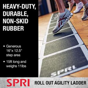 SPRI Roll-Out Agility Ladder Speed Training Equipment - Workout Exercise Fitness Equipment for Sports: Soccer, Football, Baseball, Basketball, Hockey, Boxing, Tennis, Softball