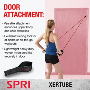 SPRI 07-71551 Xertube Resistance Band w/Door Attachment, Blue, Heavy