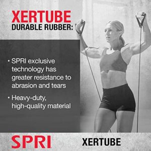 SPRI 07-71551 Xertube Resistance Band w/Door Attachment, Blue, Heavy