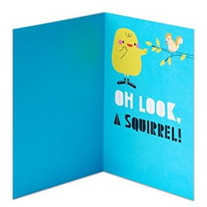 American Greetings Funny Birthday Card (Distracted Squirrel)