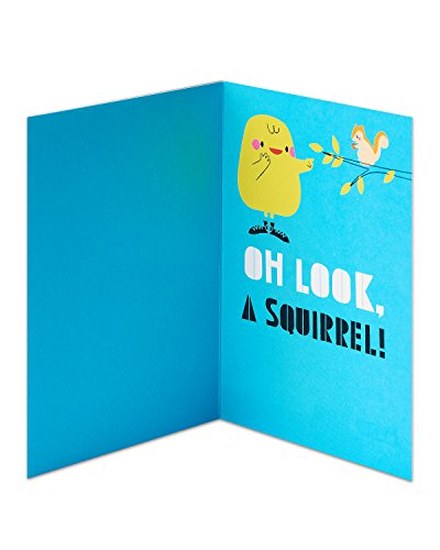 American Greetings Funny Birthday Card (Distracted Squirrel)