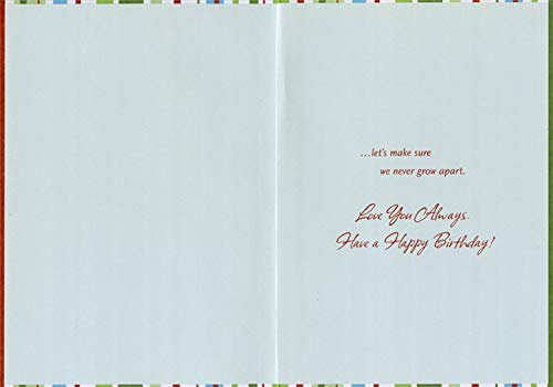 Designer Greetings Gold Foil Leaves and Stars on Stripes Brother Birthday Card from Sister