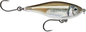 rapala sxrtm08mm x-rap twitchin’ mullet mangrove minnow, 08