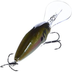 Rapala Dives-to 16 Live DT16RSL: Dives-to 16 Live River Shad, One Size