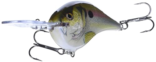 Rapala Dives-to 16 Live DT16RSL: Dives-to 16 Live River Shad, One Size