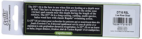 Rapala Dives-to 16 Live DT16RSL: Dives-to 16 Live River Shad, One Size