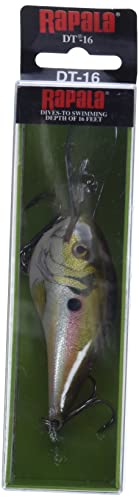 Rapala Dives-to 16 Live DT16RSL: Dives-to 16 Live River Shad, One Size