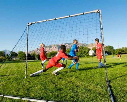 Lifetime 90046 Soccer Goal with Adjustable Height and Width, 7' x 5',Black