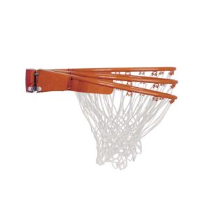 Lifetime Slam-It Pro Basketball Rim, 18 Inch