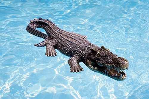 Poolmaster 30-Inch Floating Crocodile Decoy for Pool, Pond, Garden and Patio, Body , Brown , Medium