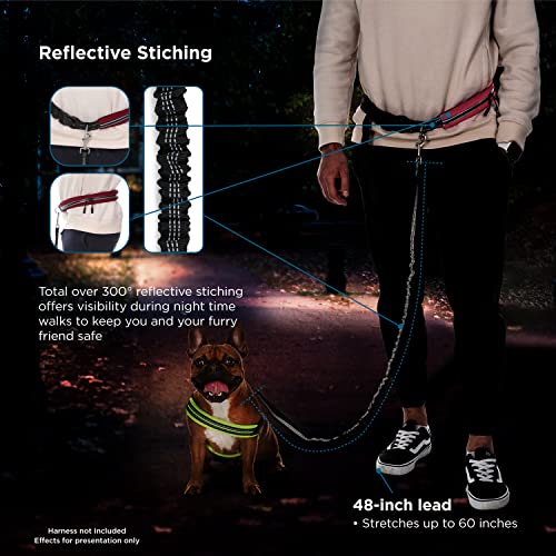 BLACK+DECKER Hands Free Dog Leash, for Jogging, Cycling and Training w. Adjustable Belt and Retractable Bungee, Dual Handle Bungee Waist Leash for Up to 150 lbs Large Dogs, Red