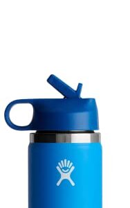 Hydro Flask 12 oz Kids Wide Mouth Straw Lid and Boot Lake