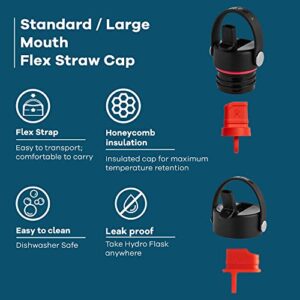 Standard Mouth Flex Straw Cap Black