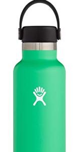 Hydro Flask Water Bottle - Standard Mouth Flex Lid - 18 oz, Spearmint