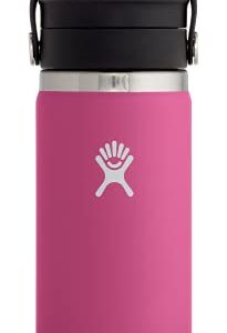 Hydro Flask 16 oz Wide Mouth Bottle with Flex Sip Lid Carnation