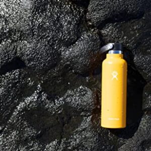 Hydro Flask Standard Mouth Bottle with Flex Cap