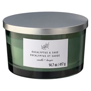 michaels bulk 8 pack: eucalyptus & sage 3-wick jar candle by ashland®