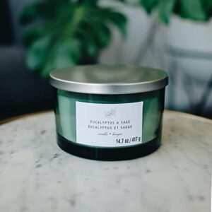 Michaels Bulk 8 Pack: Eucalyptus & Sage 3-Wick Jar Candle by Ashland®