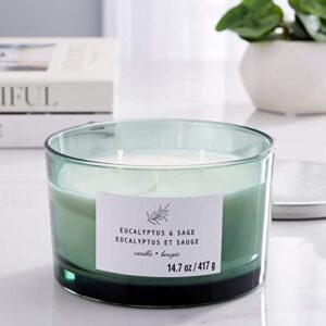 Michaels Bulk 8 Pack: Eucalyptus & Sage 3-Wick Jar Candle by Ashland®