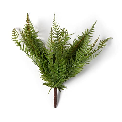 Ashland Michaels Bulk 8 Pack: Green Boston Fern Bush