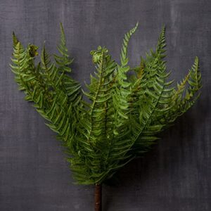 Ashland Michaels Bulk 8 Pack: Green Boston Fern Bush