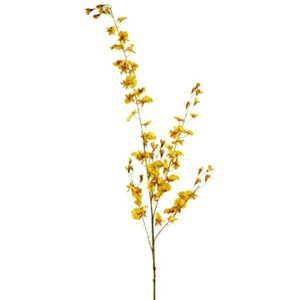 ashland michaels bulk 12 pack: yellow dancing orchid