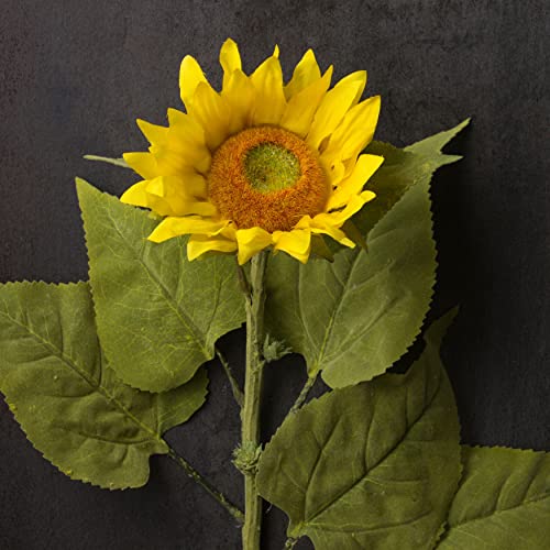 Ashland Michaels Sunflower Stem