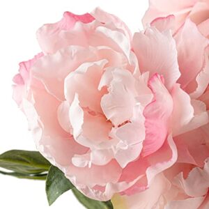 Ashland Michaels Pink Peony Bush