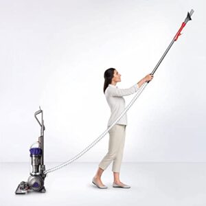 Dyson Ball Animal Upright Vacuum - Corded