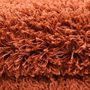 Unique Loom Solid Shag Collection Area Rug (4' 1" x 6' 1", Terracotta)