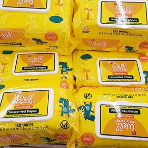 Well Beginnings Premium Hypoallergenic Unscented Baby Wipes, 120 Each Pack