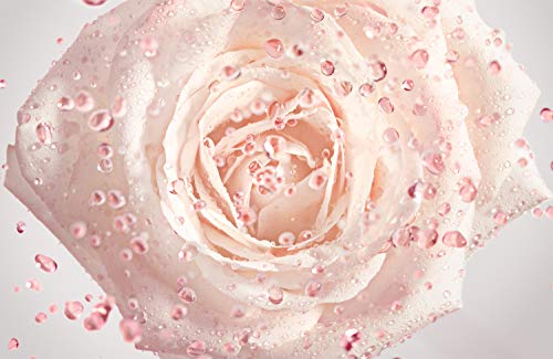 DIOR PRESTIGE LA MICRO-HUILE DE ROSE 30 ML.