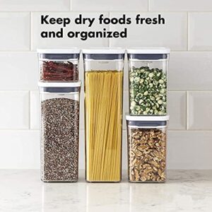 OXO Good Grips 5-Piece POP Container Set with 5 Labels