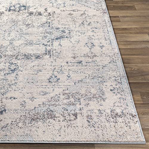 Orrick Moroccan Farmhouse Laundry Room, Hallway, Entryway, Bedroom, Kitchen Floor Runner Rug - Long Rug Carpet - Modern Bohemian Motif - Grey, Light Blue, White, Ivory, Beige, Navy Blue 2'7" x 10"