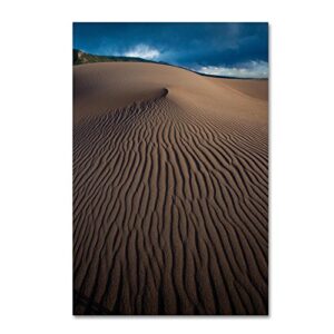 desert design by dan ballard, 30×47-inch canvas wall art