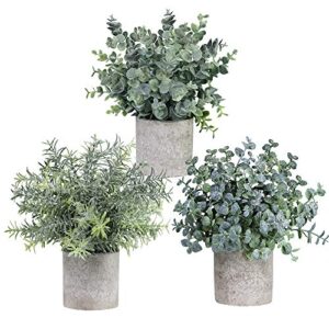 winlyn set of 3 mini potted artificial eucalyptus plants plastic fake green rosemary plant for home decor office desk shower room decoration