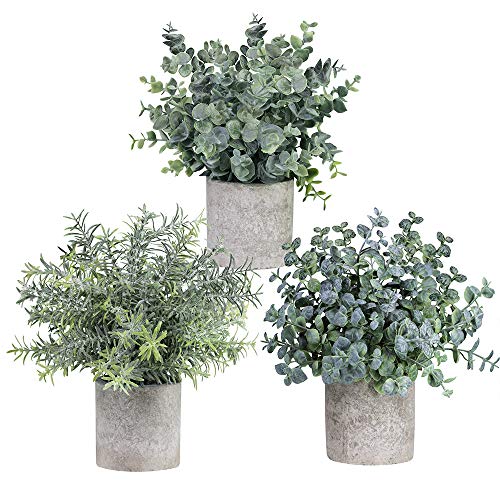 Winlyn Set of 3 Mini Potted Artificial Eucalyptus Plants Plastic Fake Green Rosemary Plant for Home Decor Office Desk Shower Room Decoration