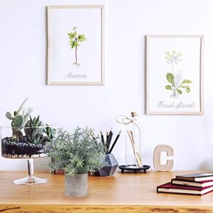 Winlyn Set of 3 Mini Potted Artificial Eucalyptus Plants Plastic Fake Green Rosemary Plant for Home Decor Office Desk Shower Room Decoration