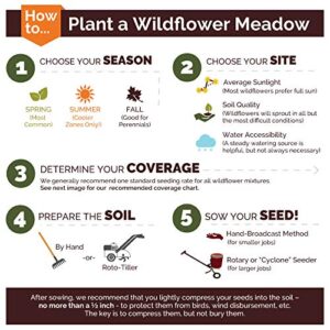 Deer Resistant Wildflower Seed Mix - 1/4 Pound - Mixed Wildflower Seeds, Attracts Bees, Attracts Butterflies, Attracts Hummingbirds, Attracts Pollinators, Easy to Grow & Maintain, Cut Flower Garden