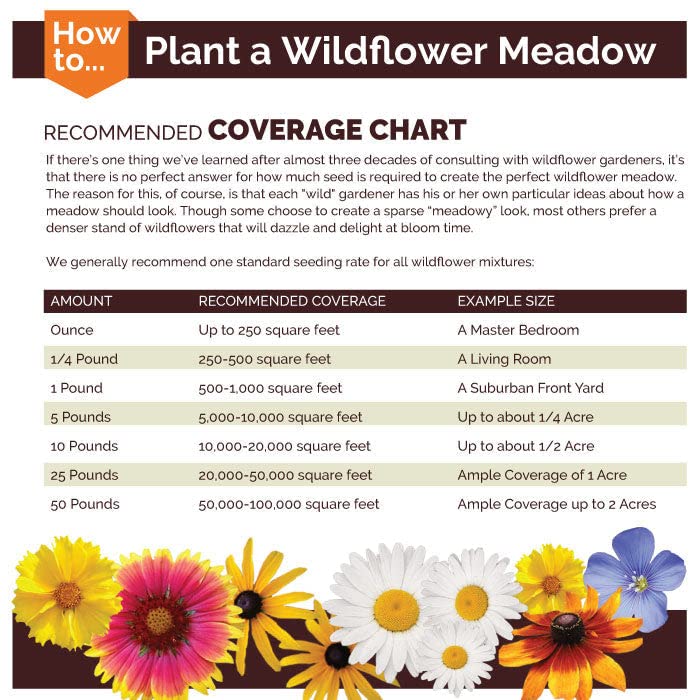 Deer Resistant Wildflower Seed Mix - 1/4 Pound - Mixed Wildflower Seeds, Attracts Bees, Attracts Butterflies, Attracts Hummingbirds, Attracts Pollinators, Easy to Grow & Maintain, Cut Flower Garden