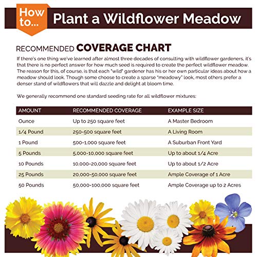 Pacific Northwest Wildflower Seed Mix - 1/4 Pound - Mixed Wildflower Seeds, Attracts Bees, Attracts Butterflies, Attracts Hummingbirds, Attracts Pollinators, Easy to Grow & Maintain, Cut Flower