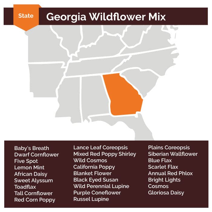 Georgia Wildflower Seed Mix - 5 Pounds - Mixed Wildflower Seeds, Attracts Bees, Attracts Butterflies, Attracts Hummingbirds, Attracts Pollinators, Easy to Grow & Maintain, Cut Flower Garden