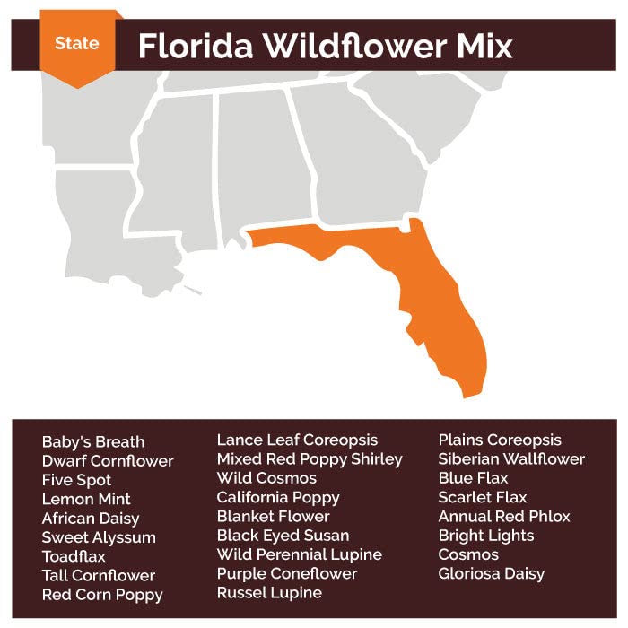 Florida Wildflower Seed Mix - 1/4 Pound - Mixed Wildflower Seeds, Attracts Bees, Attracts Butterflies, Attracts Hummingbirds, Attracts Pollinators, Easy to Grow & Maintain, Cut Flower Garden