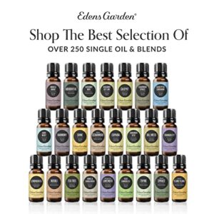 Edens Garden Top Synergy Blend Essential Oil 6 Set, Best 100% Pure Aromatherapy Starter Kit (for Diffuser & Therapeutic Use), 10 ml